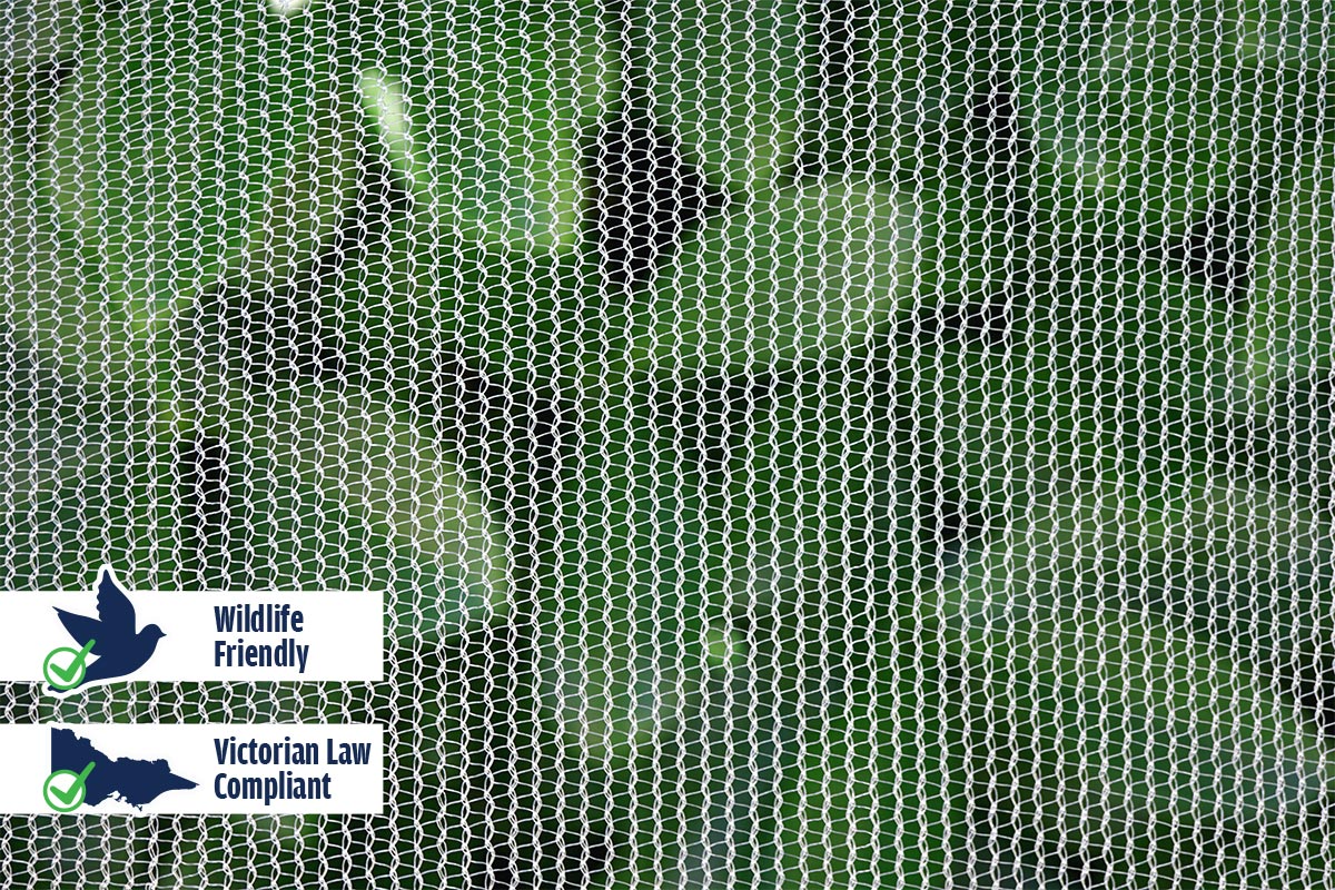 45GSM Fruit Fly & Insect Netting – Quatra Netting