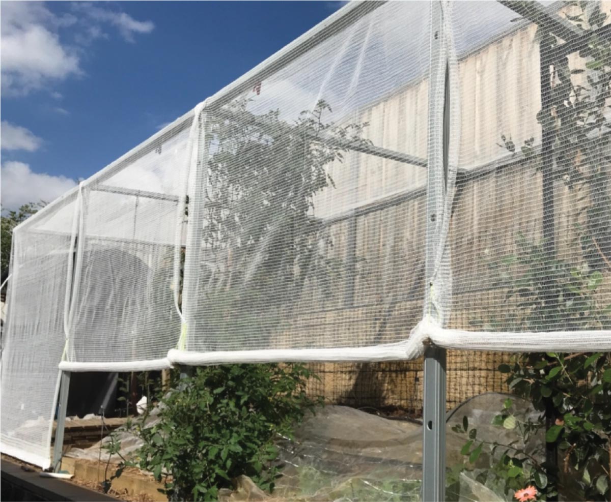 Hail Protection Netting – Quatra Netting