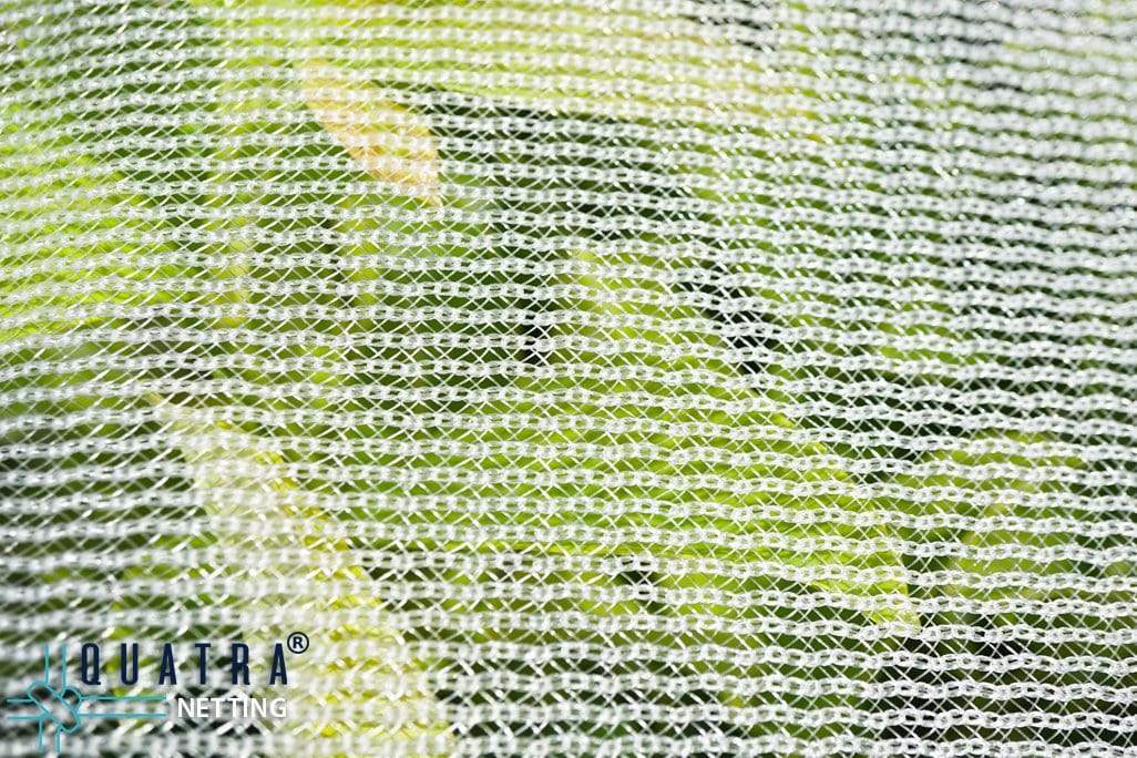 Fruit Fly & Insect Netting 103GSM – Quatra Netting